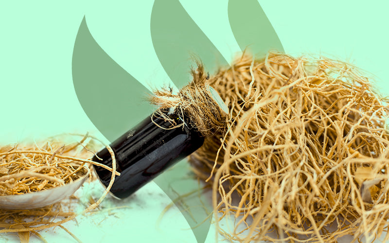 Vetiver oil and its benefits – Satthwa