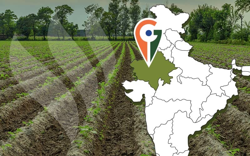 Understanding GI Tag and it's importance for Sojat mehndi? – Satthwa